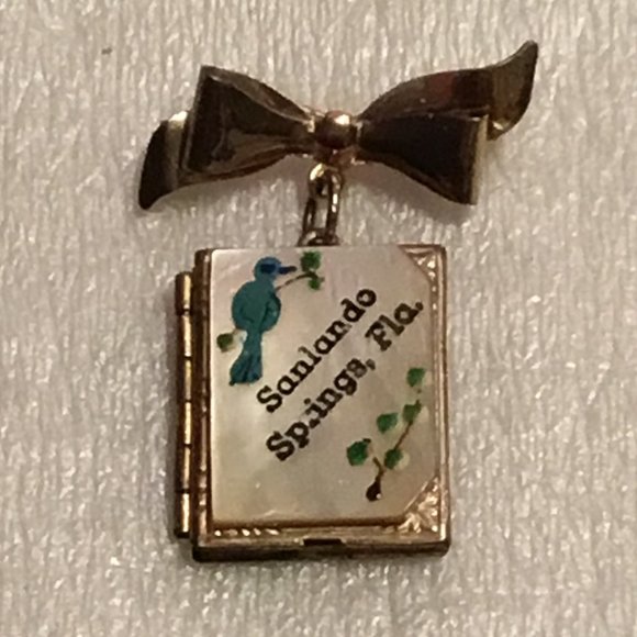 Sanlando Springs, Fla brooch | Jewelry | Vintage Mother Of Pearl ...